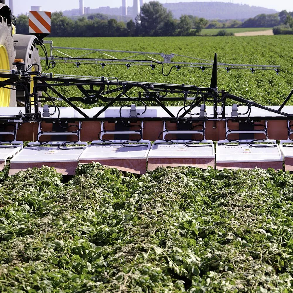 Limited Herbicide Applicator (Category C03) - Pested